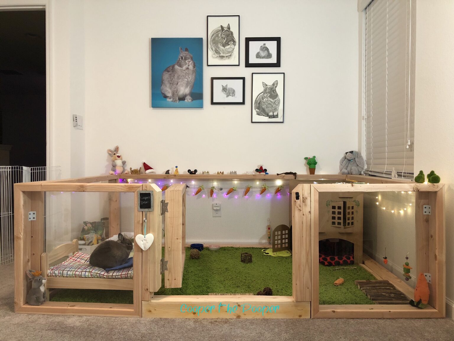 DIY Rabbit Enclosure – Cooper the Pooper