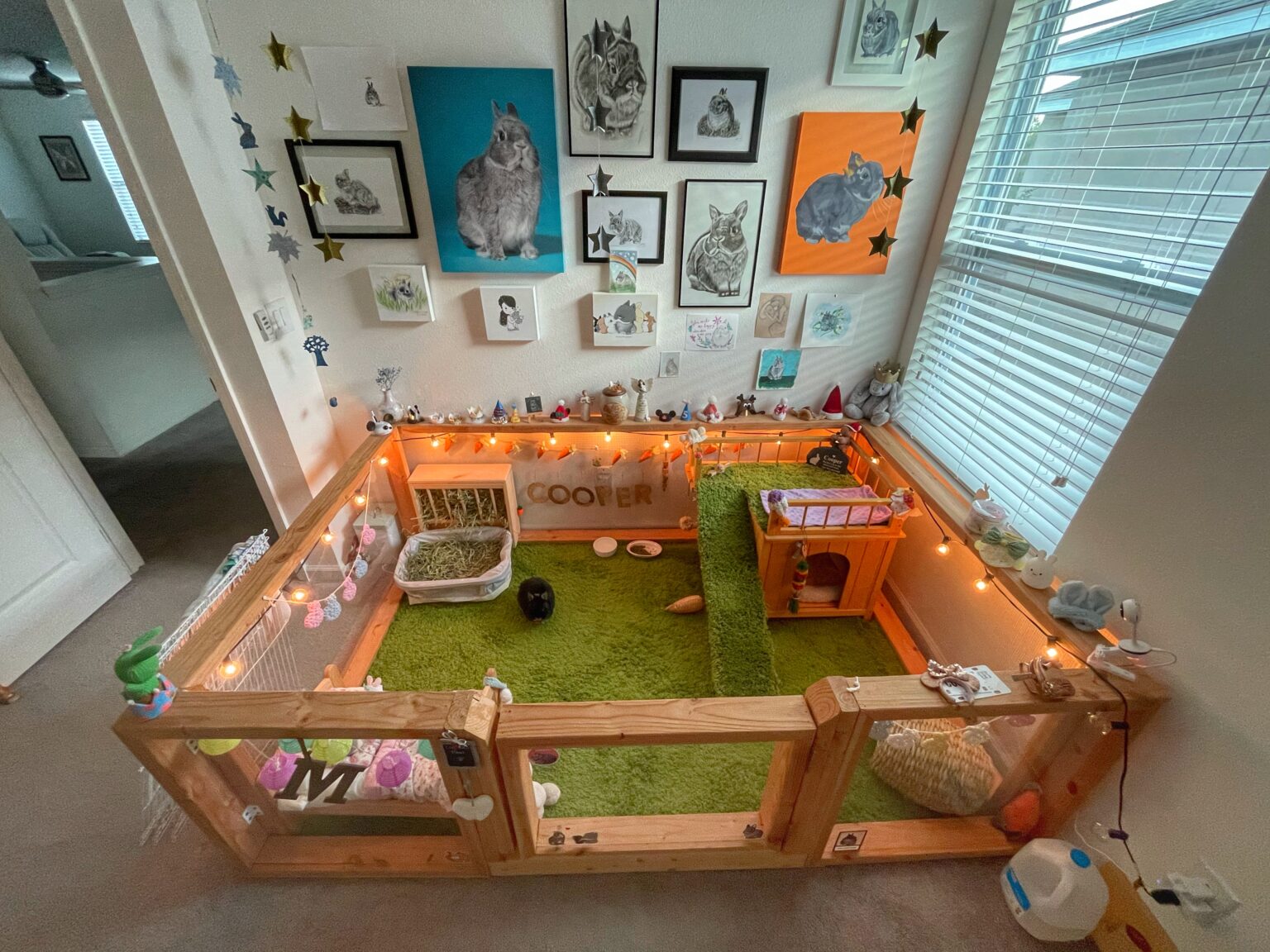 Living with a House Rabbit