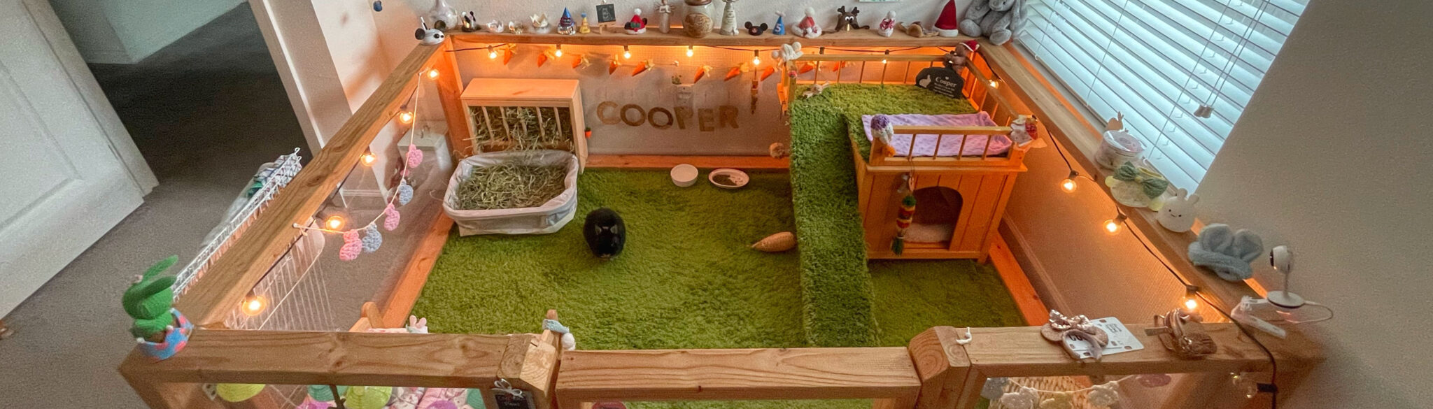 DIY Rabbit Enclosure – Cooper the Pooper
